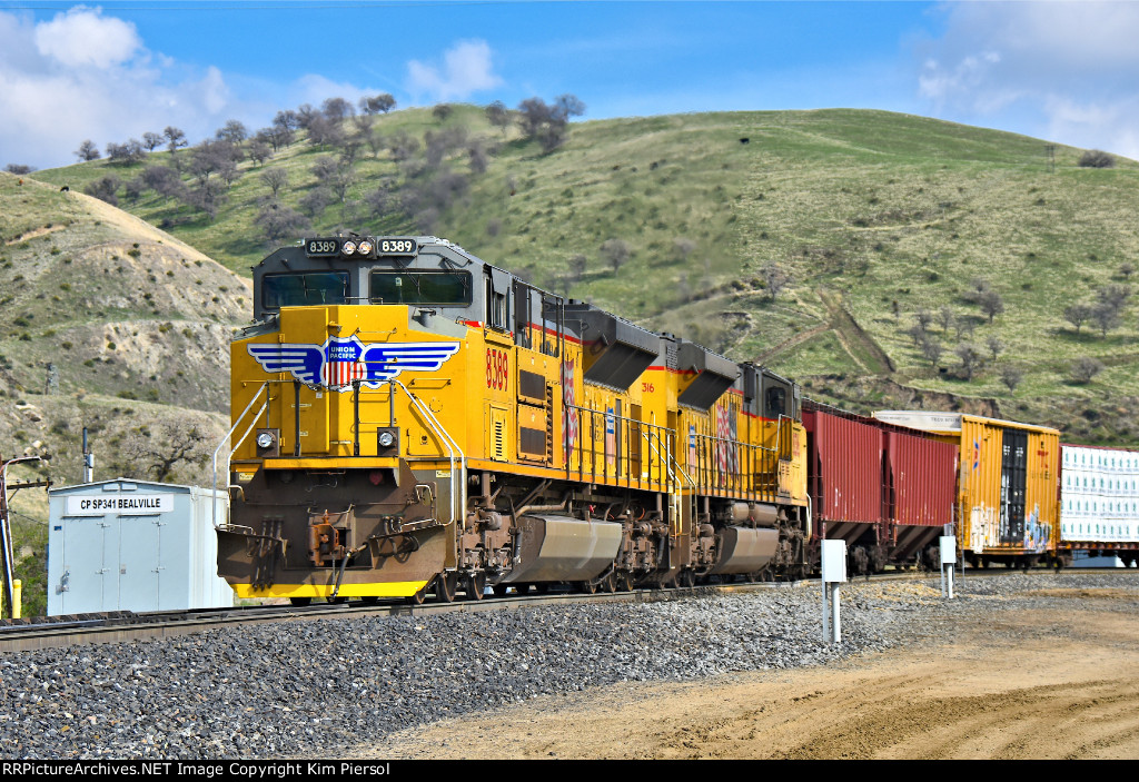 UP 8389 8316 Pushers